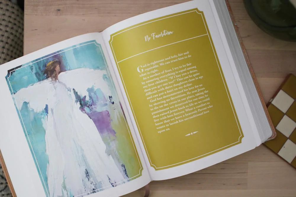 Amplified Holy Bible - Anne Neilson Angel Art Series - Blush – JM Boutique